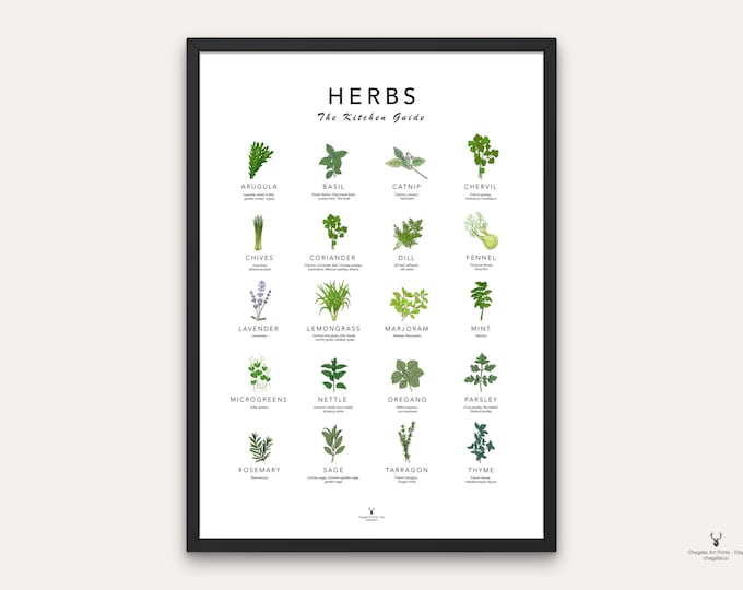 Culinary Herb Chart - Etsy