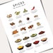 Spices Guide Cook Cheat Paper Kitchen Wall Art Spices Poster Printable ...