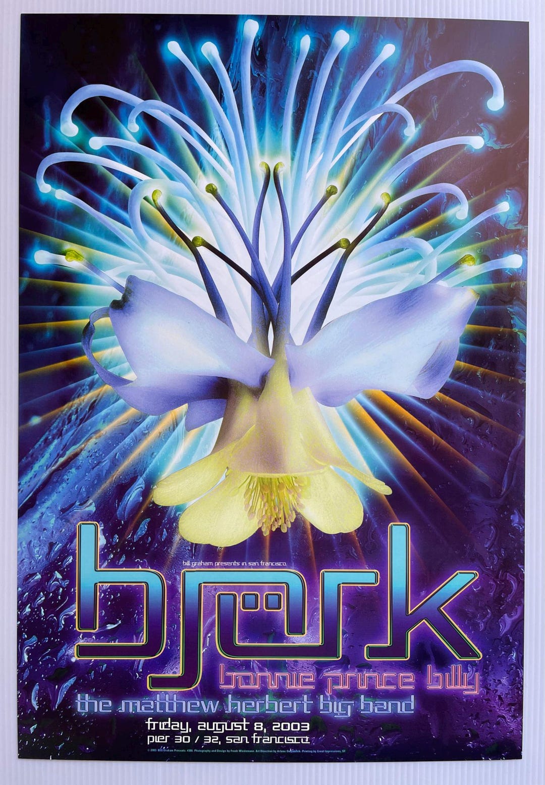 Bjork Concert Poster 2003 BGP-306 - Etsy