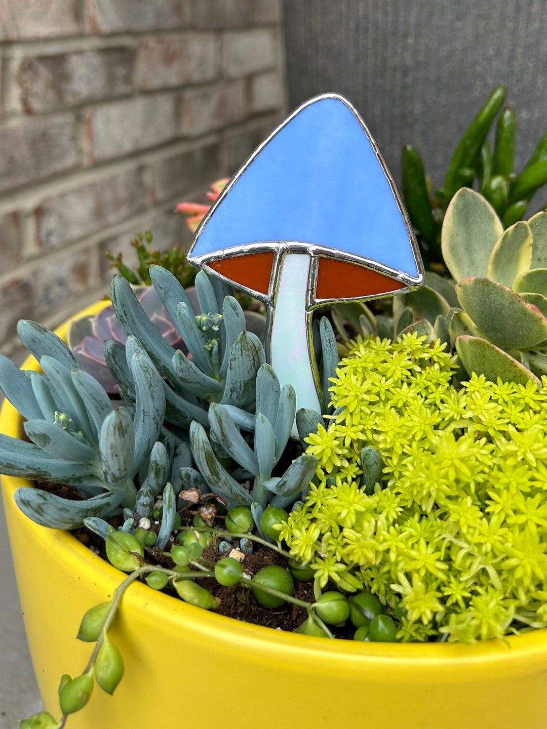 Glass Mushroom Planter Decor - Etsy