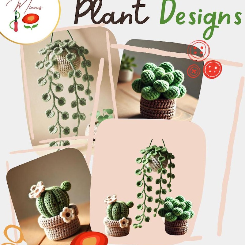 Mini Indoor Cactus Plants - Etsy