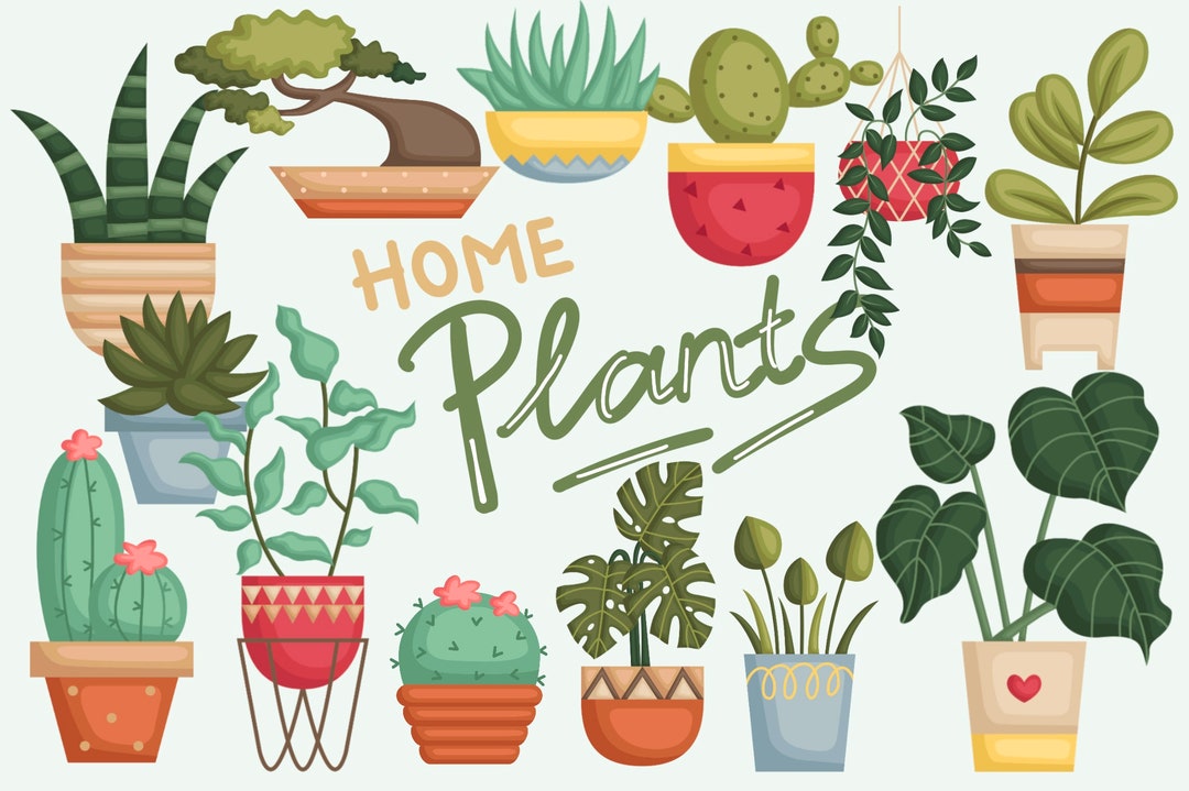 Home Plant Clipart Cute Plant Clip Art Decoration Clip Art Cactus Clip ...
