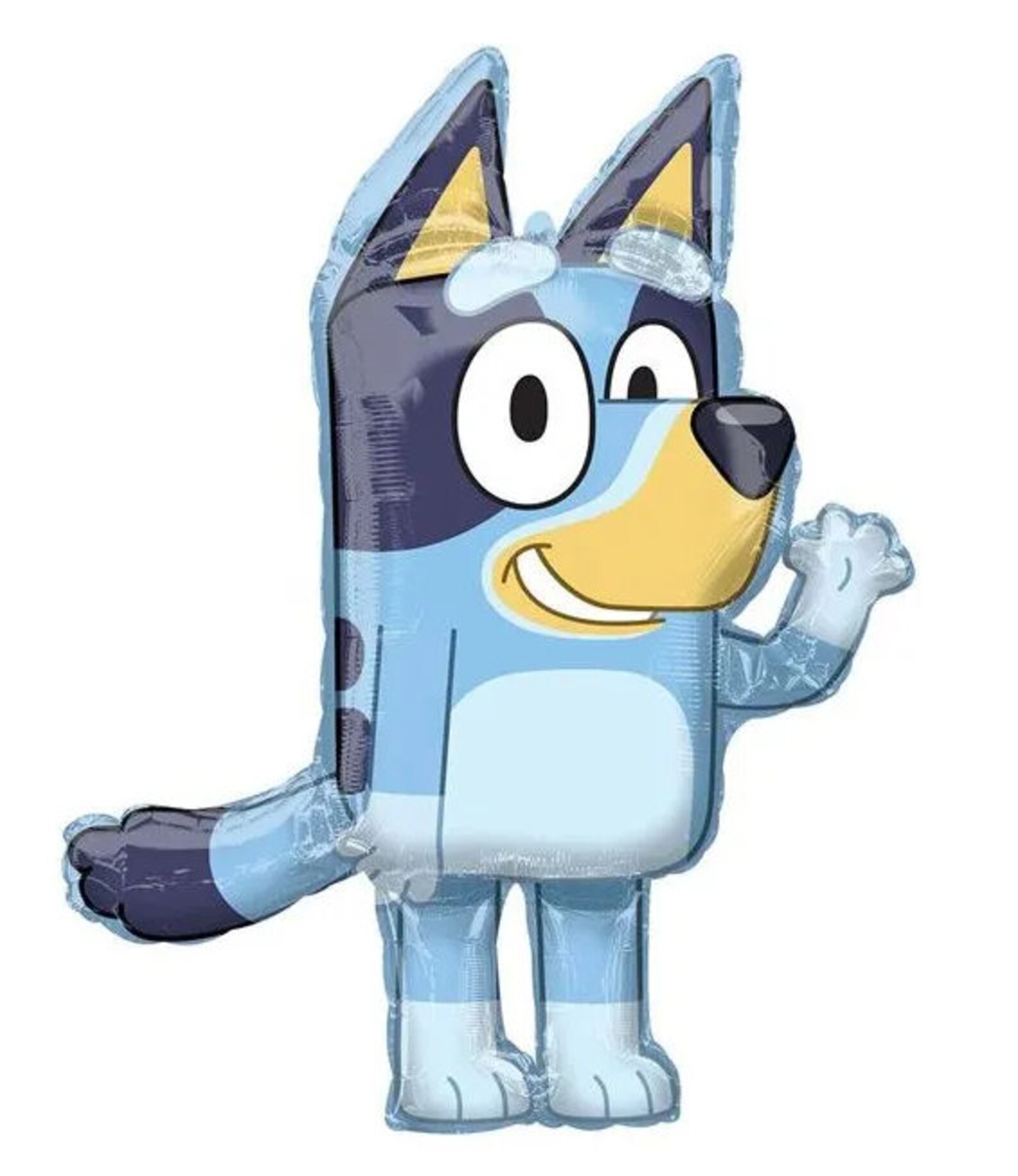 Bluey Birthday Set - Etsy