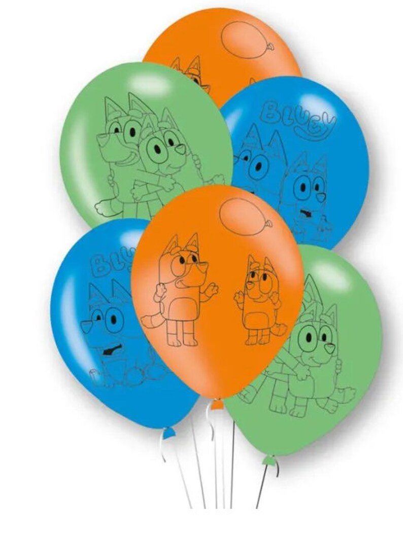 Bluey Birthday Set - Etsy