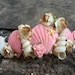 Pink Seashell Crown, Mermaid Headpiece, Nautical Wedding - US Customs ...