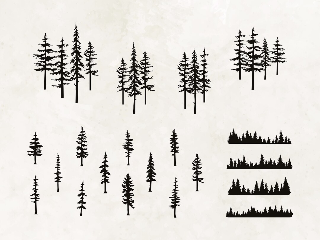 Tree Silhouette Svg| Pine Tree Svg| Pine Tree Silhouette| Evergreen ...