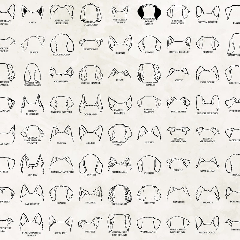 Dog Line Stencil - Etsy