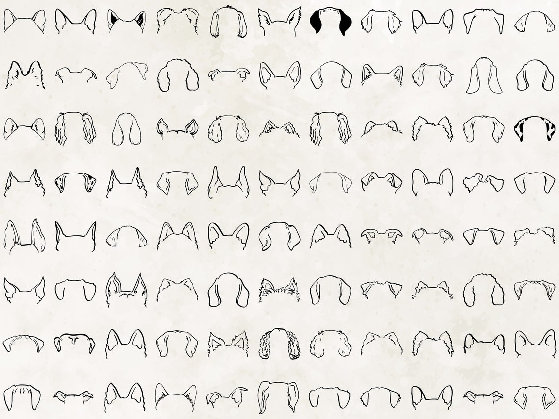 Dog Breed Ears SVG Hand Drawn Dog Ears Outline Bundle Svg Clipart ...