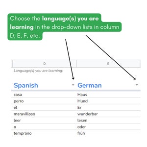 Vocabulary List Spreadsheet Template to Help You to Reach Your Language ...
