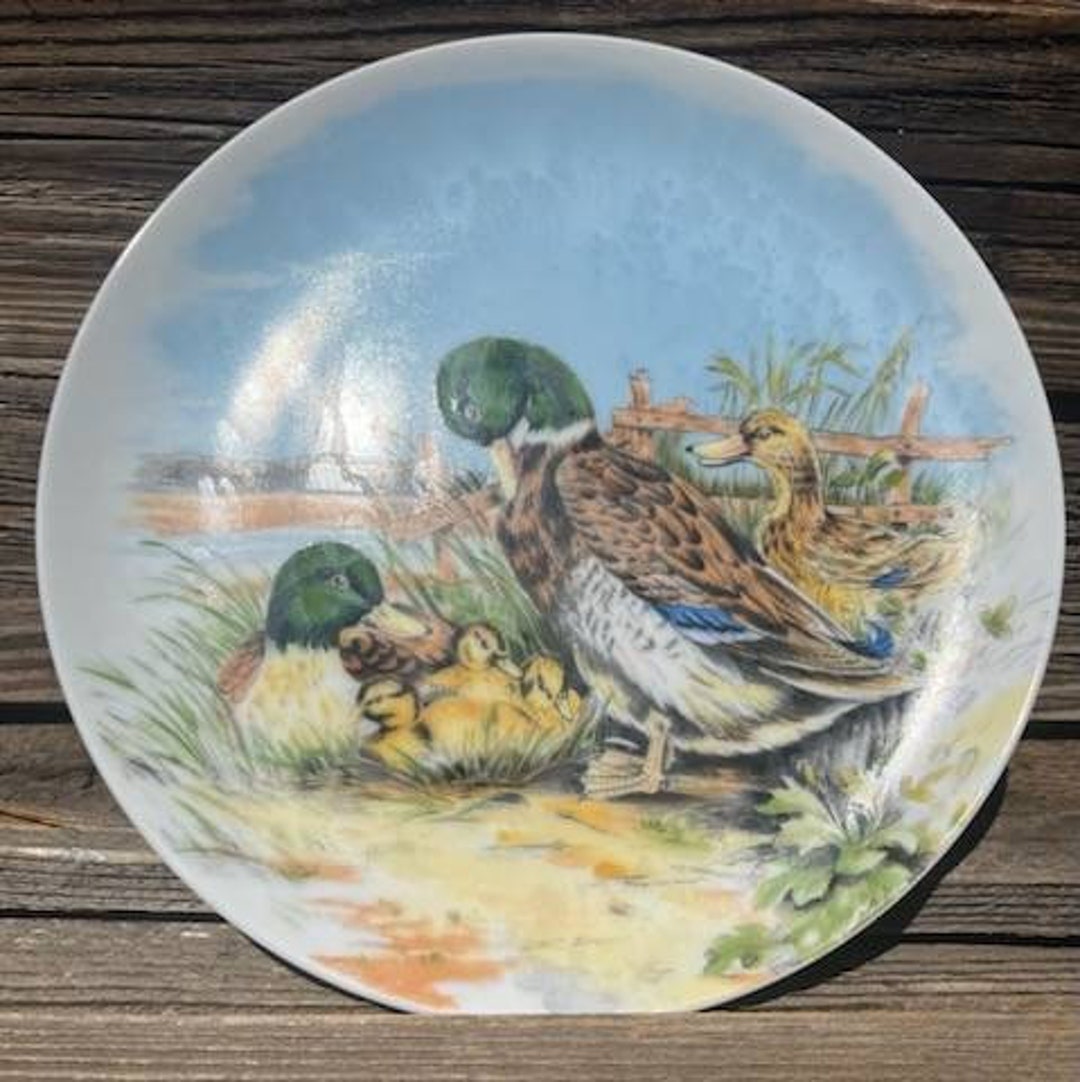 Vintage Duck Plate - Etsy
