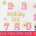 Birthday Girl Svg - Birthday Girl Cut Giles - Birthday Party Numbers ...
