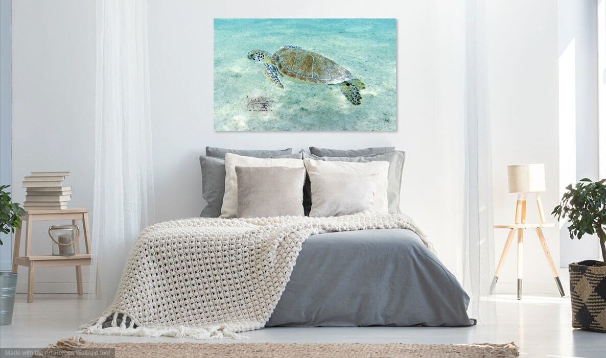 Flying Sea Turtle, Bonaire Photograph - Etsy