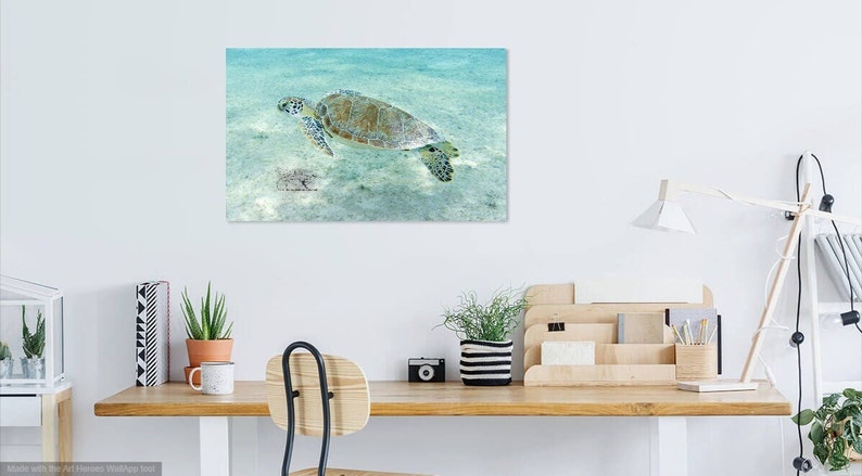 Flying Sea Turtle, Bonaire Photograph - Etsy
