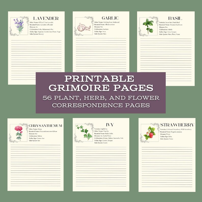 Magical Plants & Herbs - Printable Grimoire Page - Book of Shadows ...