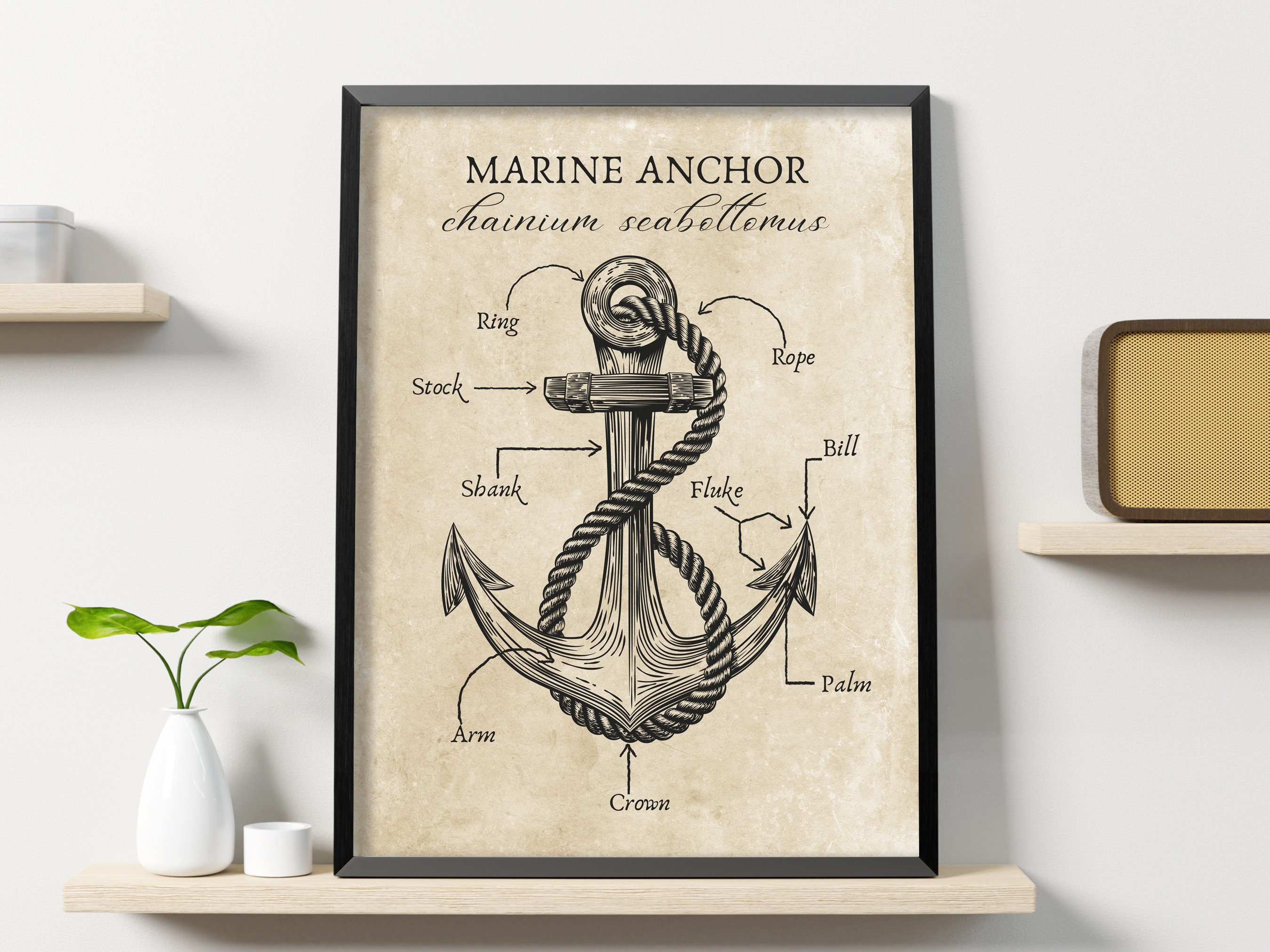 Marine Anchor Anatomy Poster, Coastal Vintage Wall Art, American Wall ...
