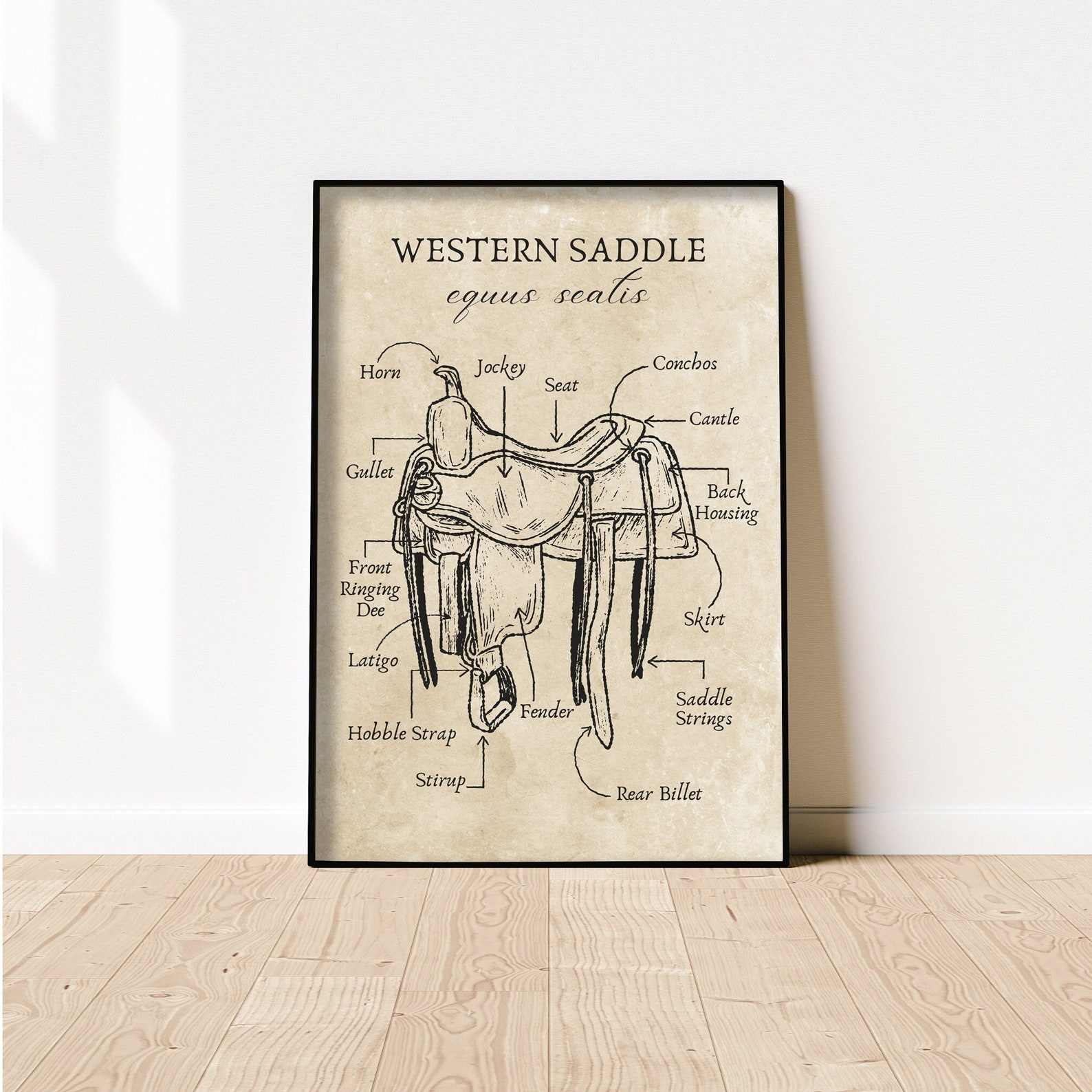 Horse Saddle Anatomy Poster, Horse Lover Poster, American Wall Decor ...