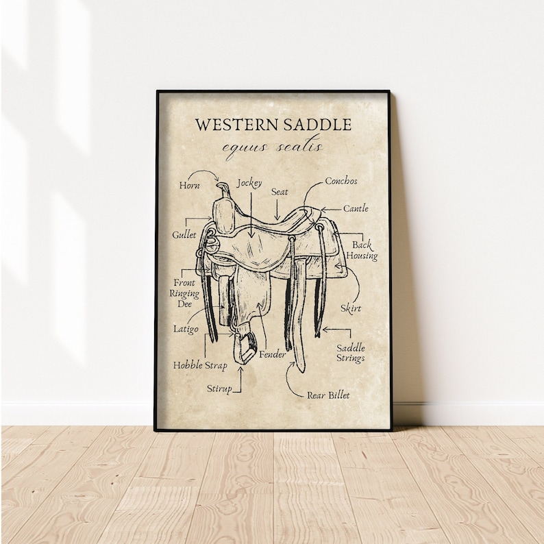 Horse Saddle Anatomy Poster, Horse Lover Poster, American Wall Decor ...
