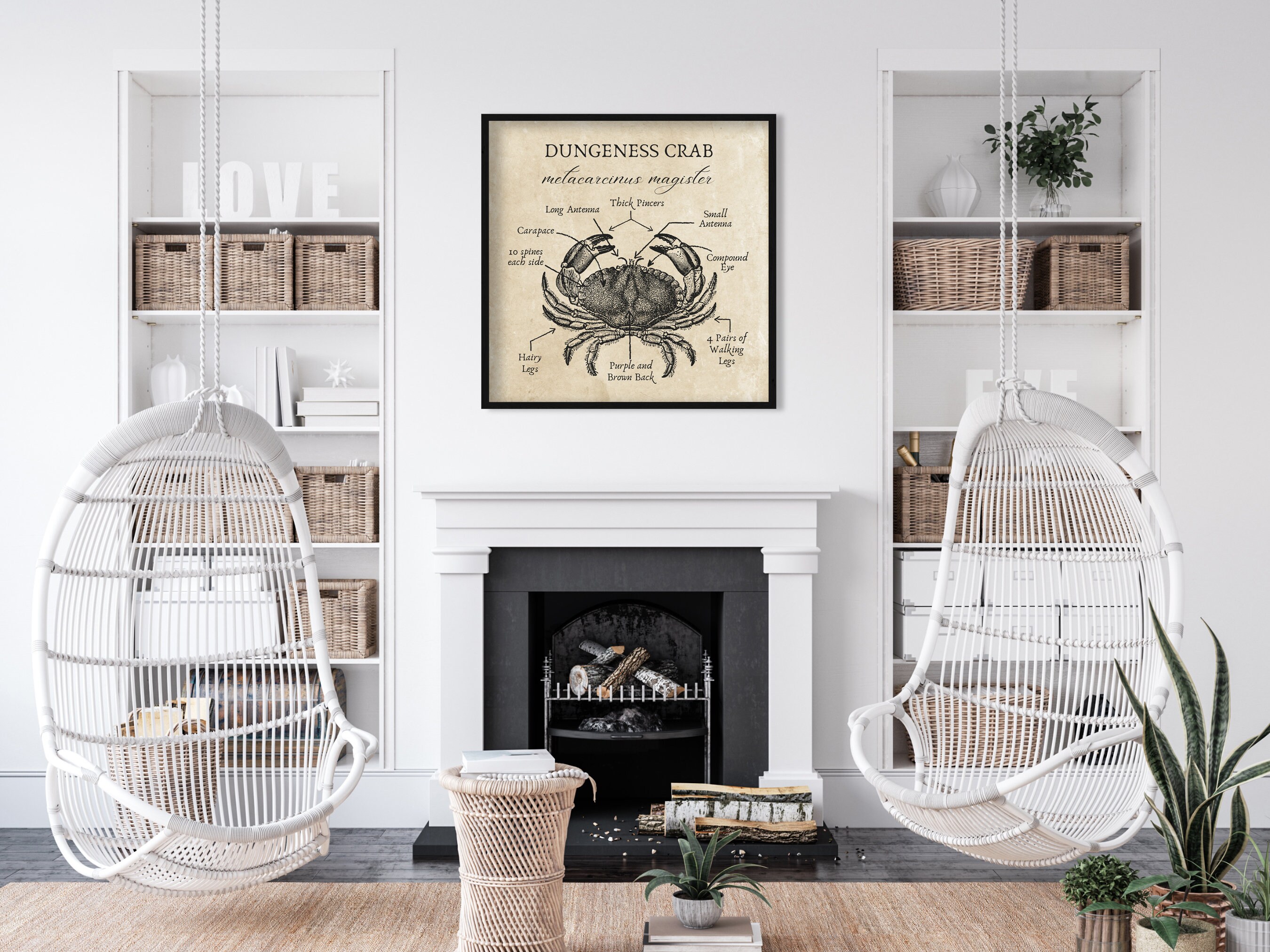 Dungeness Crab Anatomy Poster, Coastal Vintage Wall Art, American Wall ...
