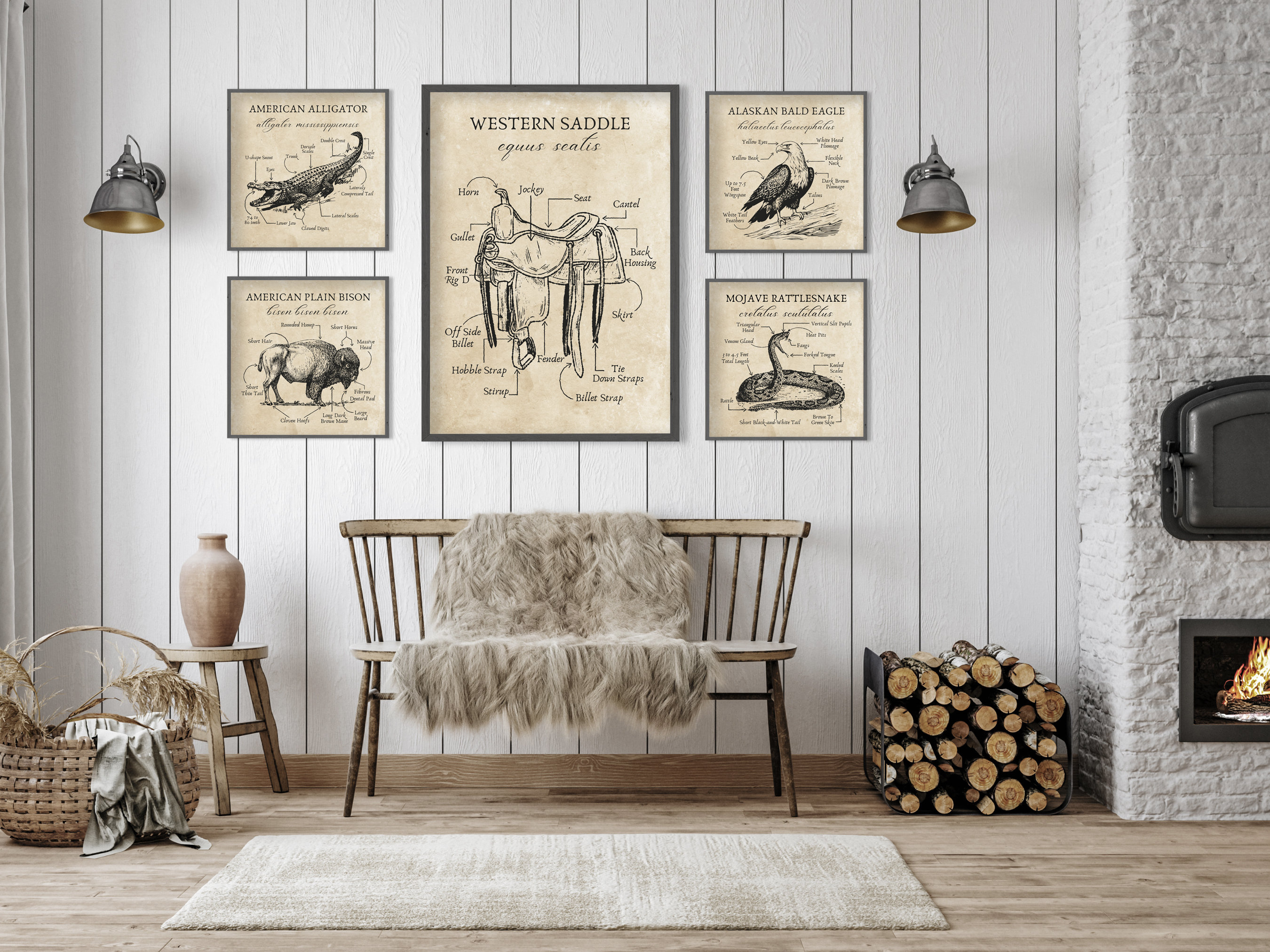 Horse Saddle Anatomy Poster, Horse Lover Poster, American Wall Decor ...