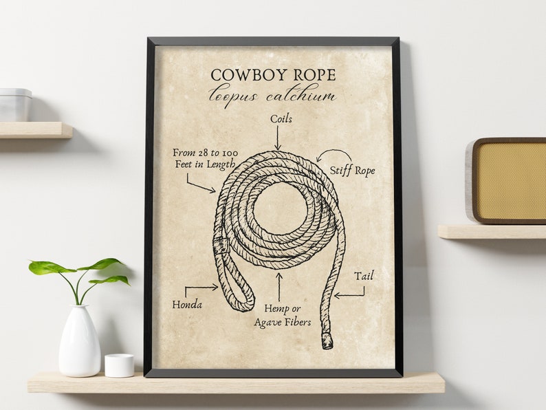 Cowboy Rope Anatomy Poster, Western Lover Poster, American Wall Decor ...