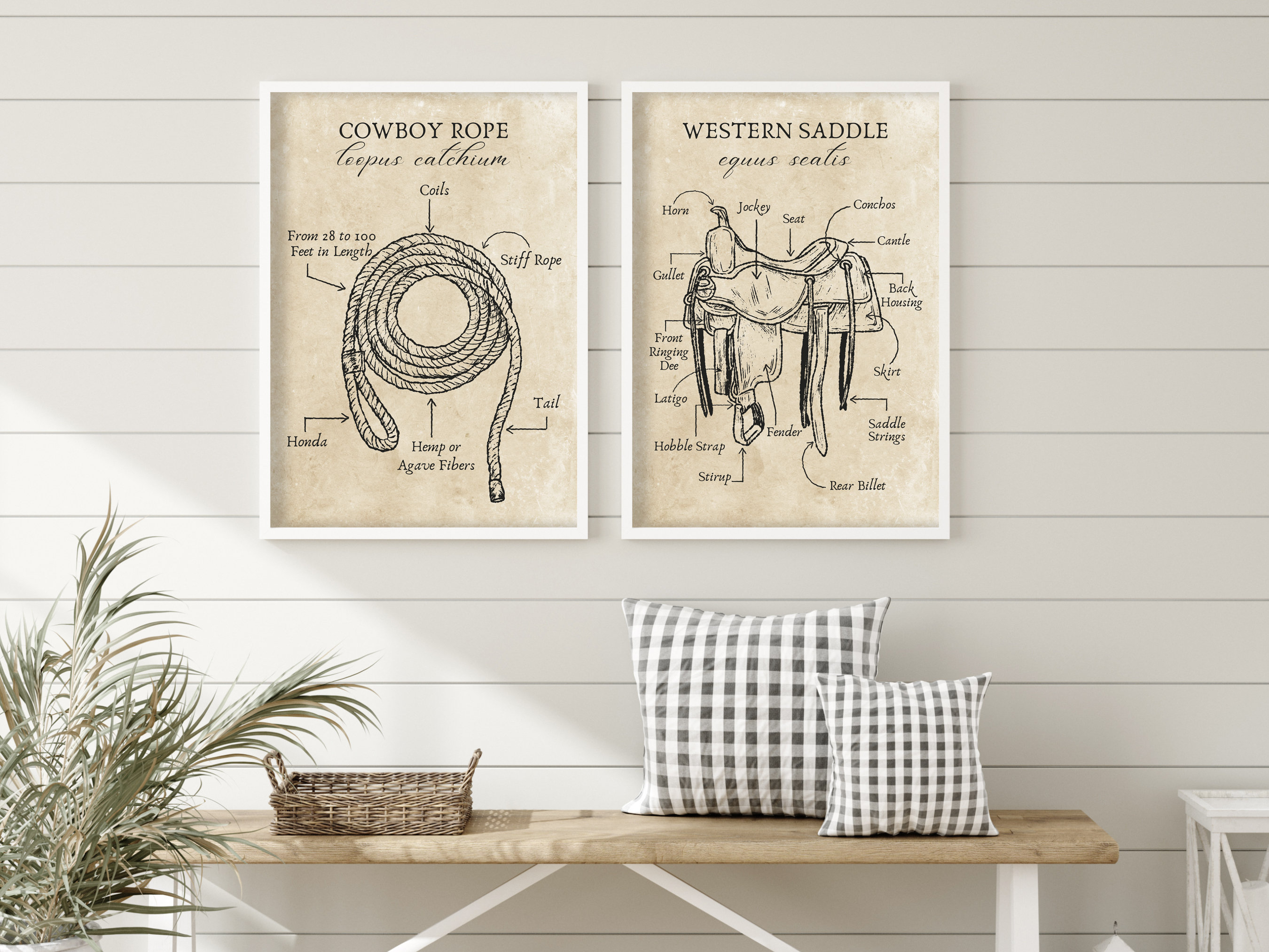 Cowboy Rope Anatomy Poster, Western Lover Poster, American Wall Decor ...