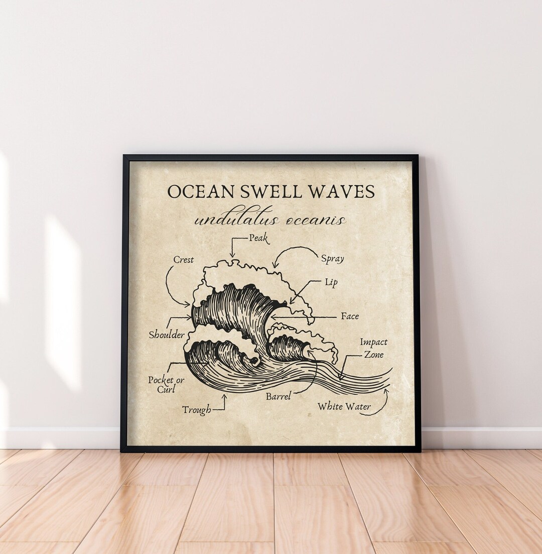 Ocean Wave Anatomy Poster, Coastal Vintage Wall Art, Sea Wall Decor ...