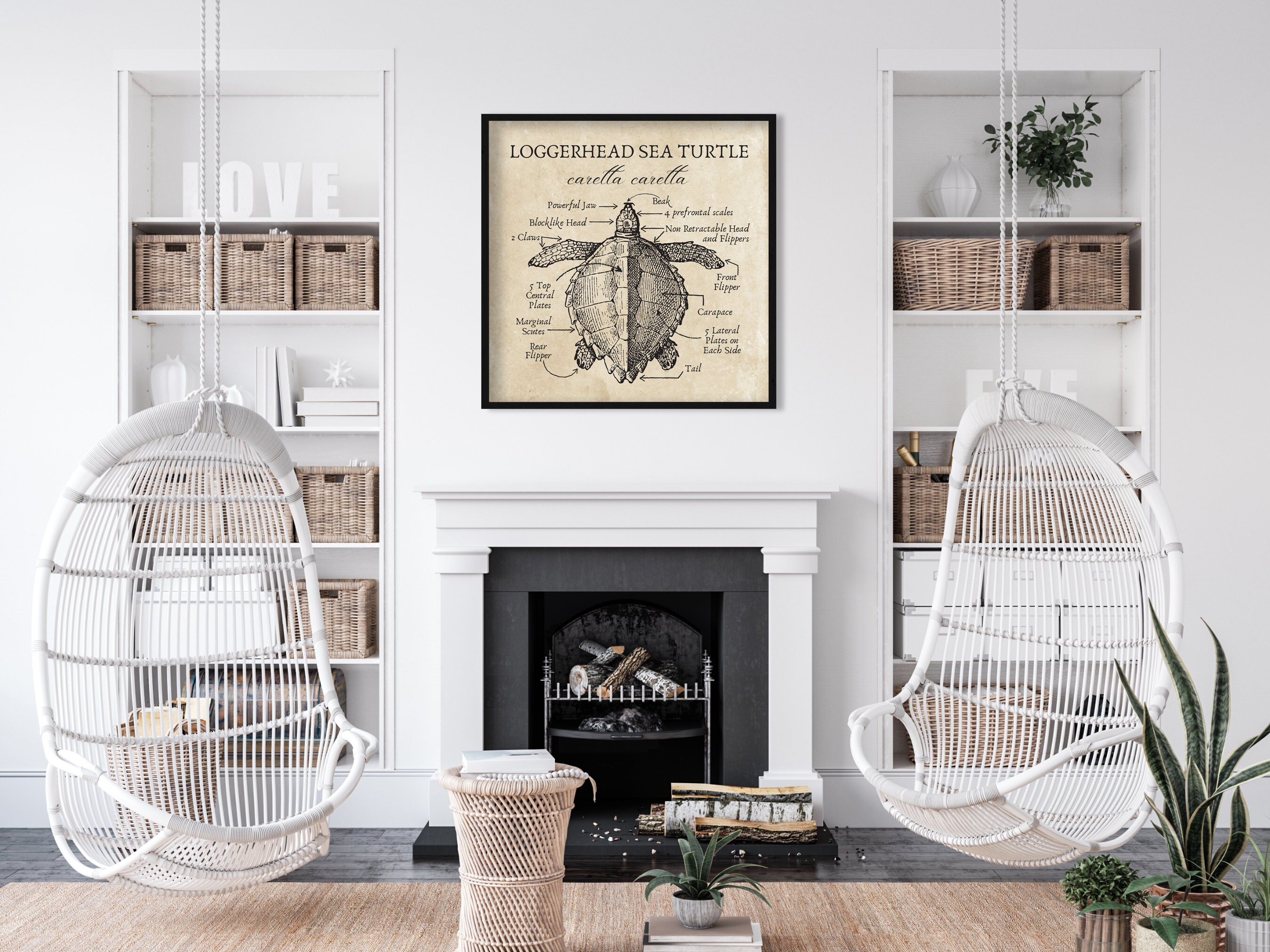 Loggerhead Sea Turtle Anatomy Poster, Coastal Vintage Wall Art, Sea ...
