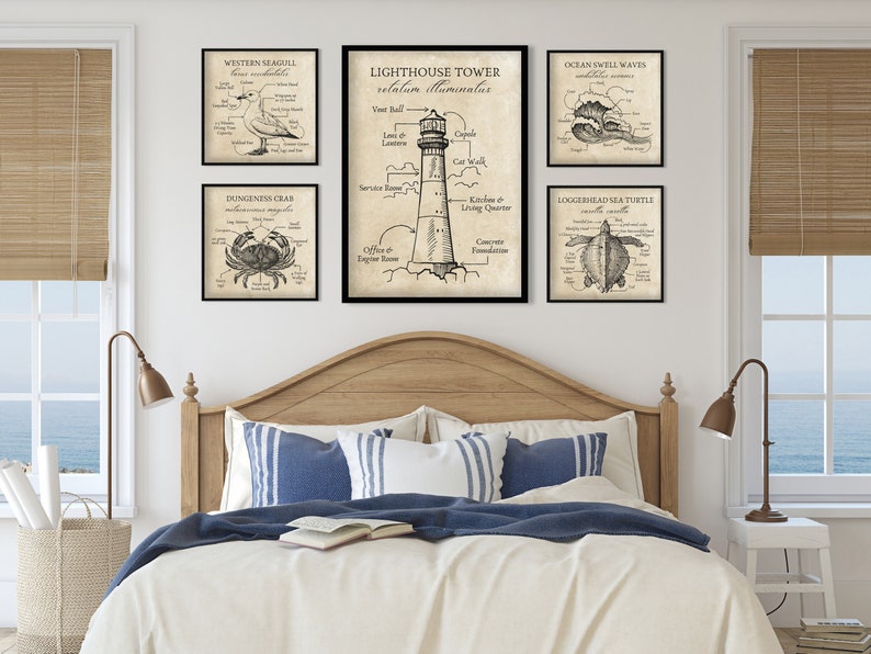 Dungeness Crab Anatomy Poster, Coastal Vintage Wall Art, American Wall ...