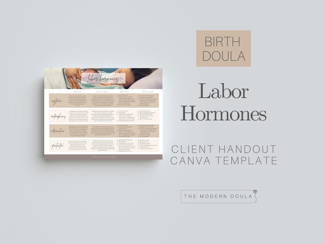 Labor Hormones Birth Doula Client Handout, Birth Doula Client Forms ...