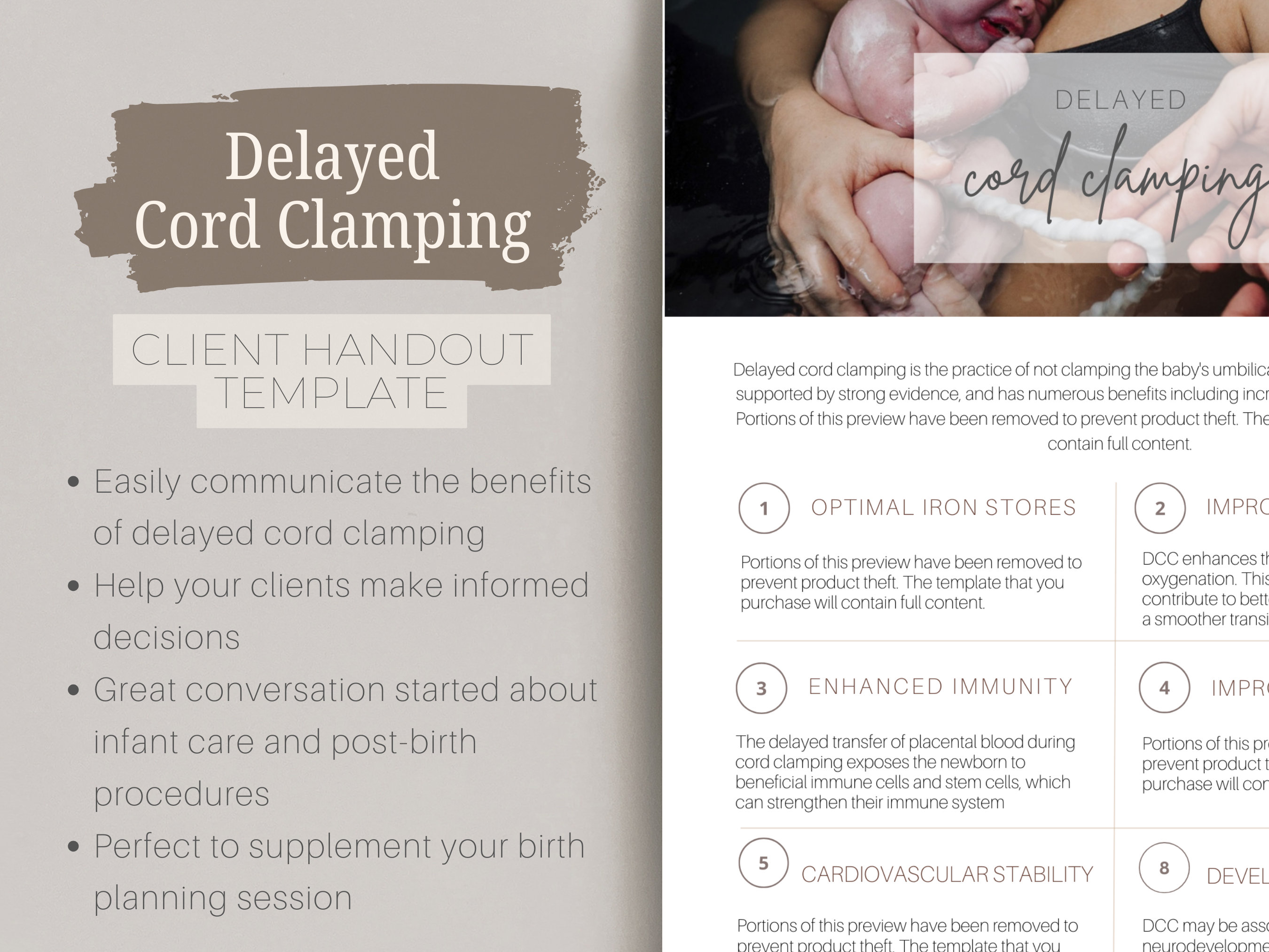 Delayed Cord Clamping Client Handout, Birth Doula Client Forms ...