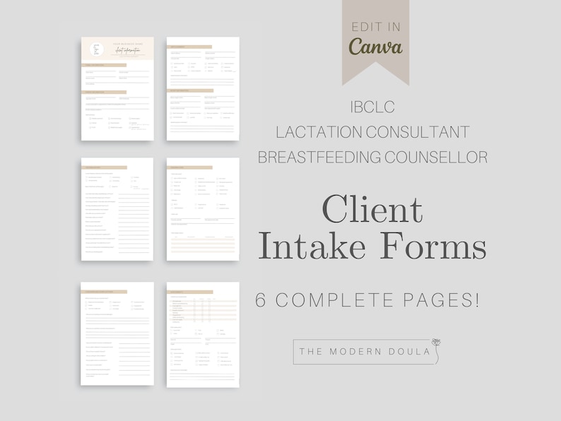 Editable Lactation Consultant Intake Form Breastfeeding - Etsy