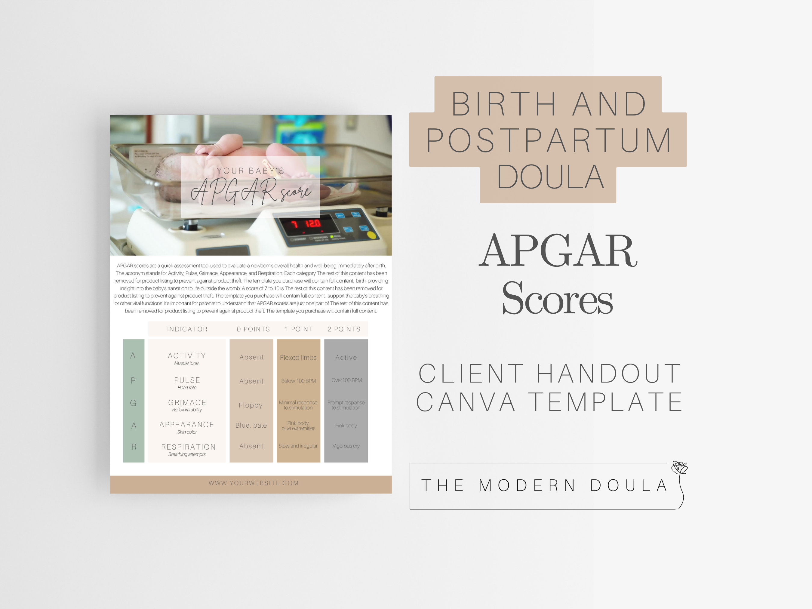 APGAR Score Doula Handout, Editable Doula Handout Template, Birth Doula ...