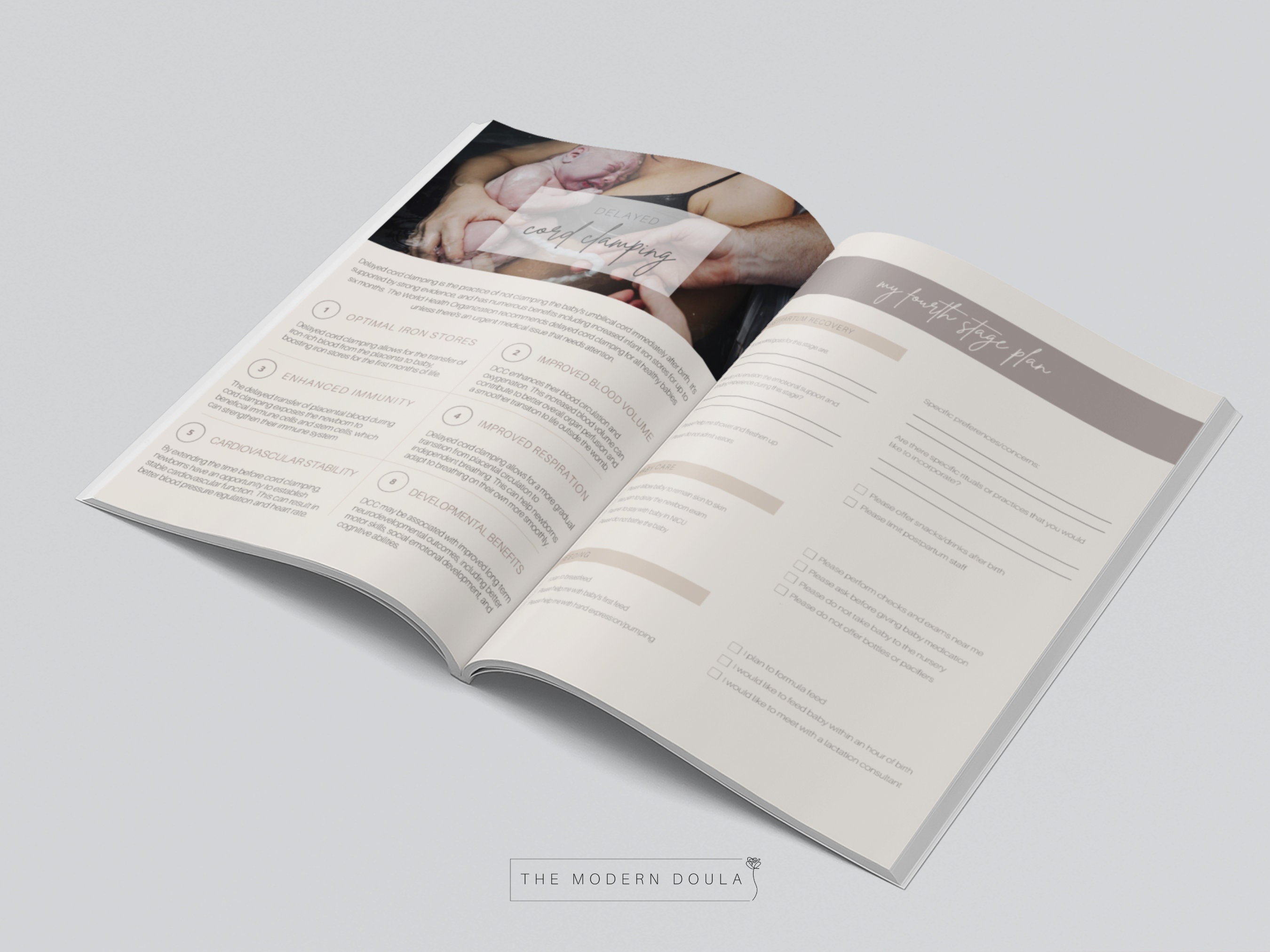 Birth Plan Workbook Template for Birth Planning Birth Plan - Etsy Canada