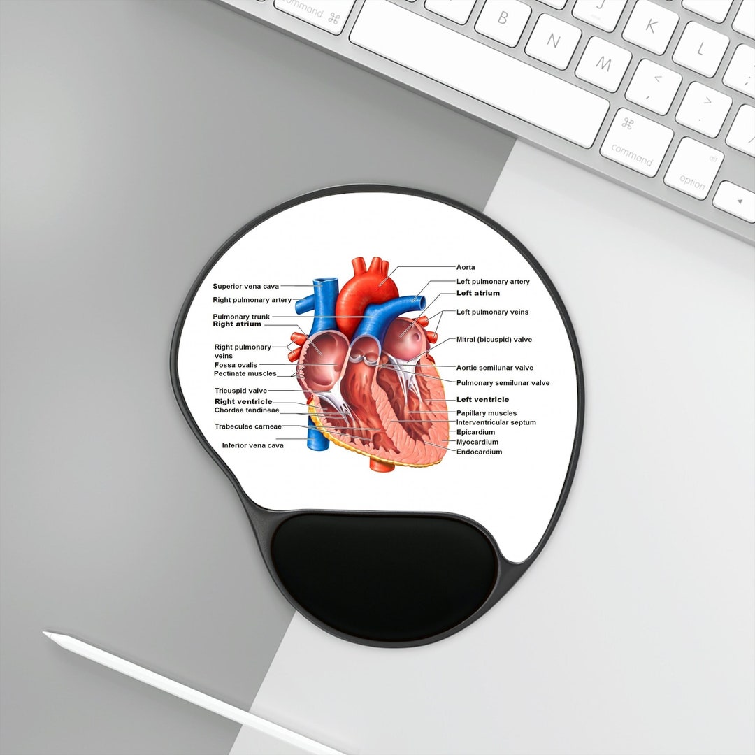 Anatomical Heart Mouse Pad With Wrist Rest; Nurse, Echo Tech, and ...
