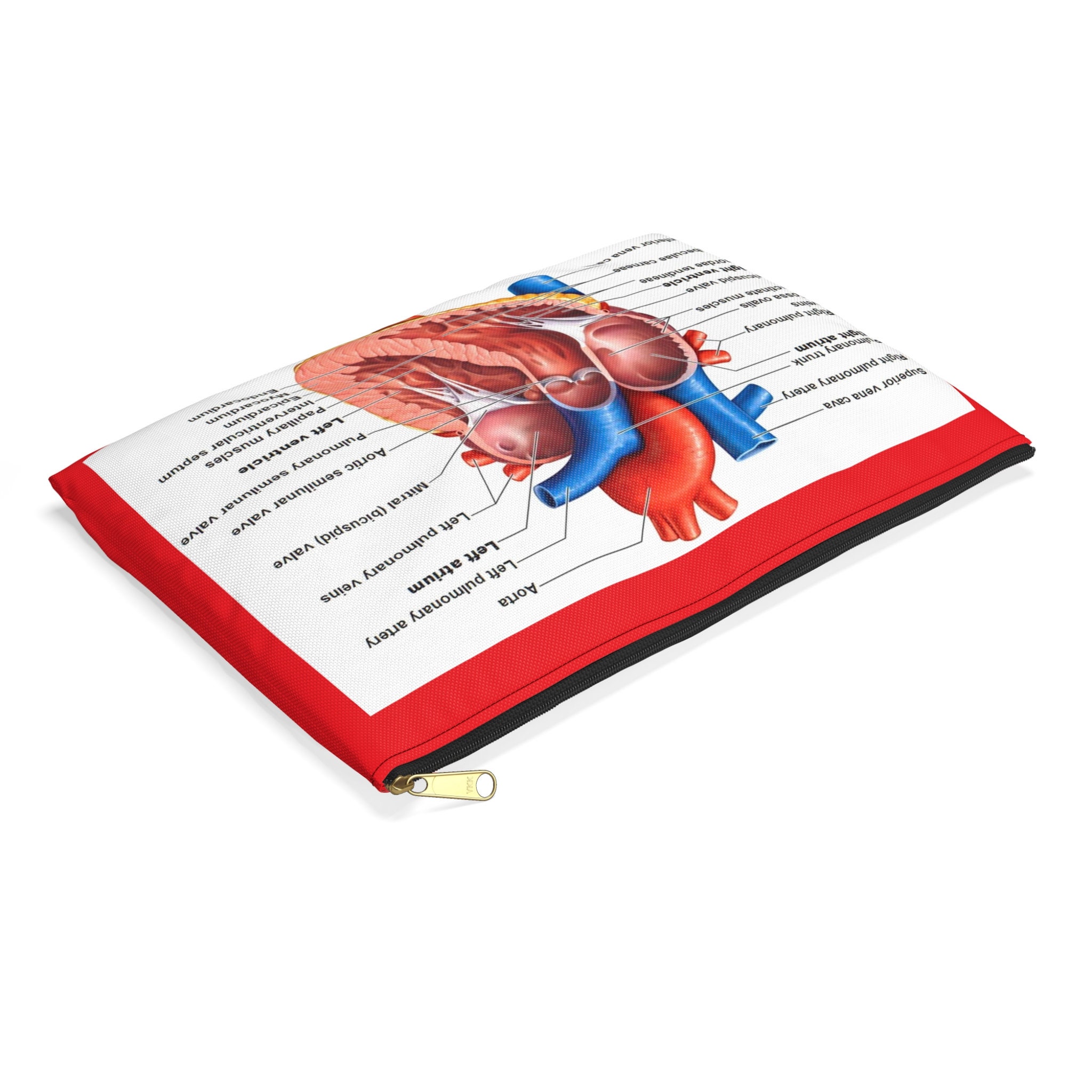 Anatomical Heart Pencil Pouch With Labels, Heart Anatomy Accessory ...