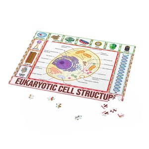 Cell Structure Puzzle, Science Puzzles, Cell Biology Puzzles ...