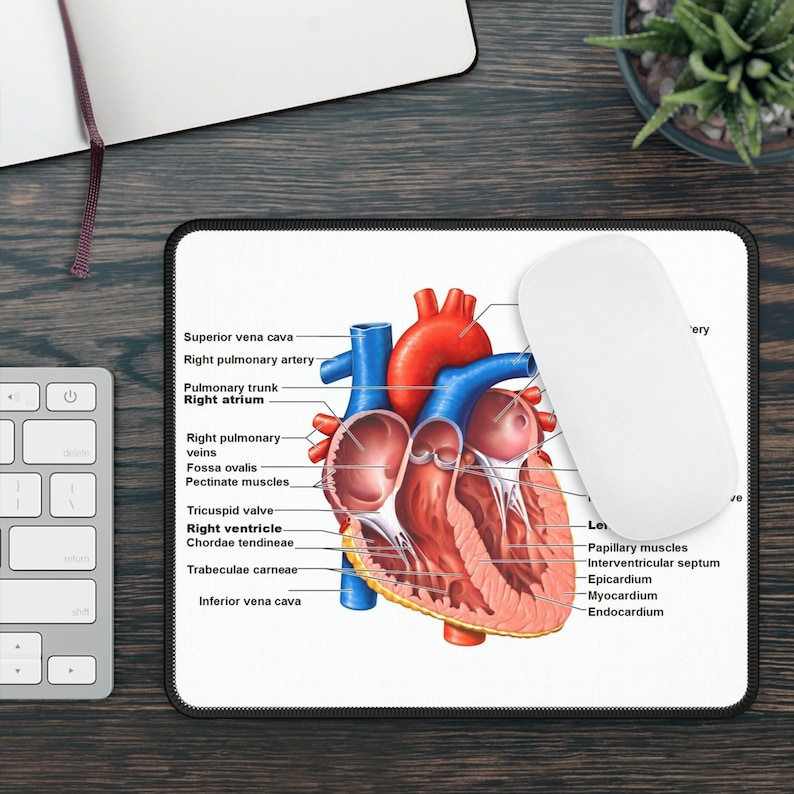 Human Heart Mouse Pad for Nurses, Echotechs, and Biology Students ...