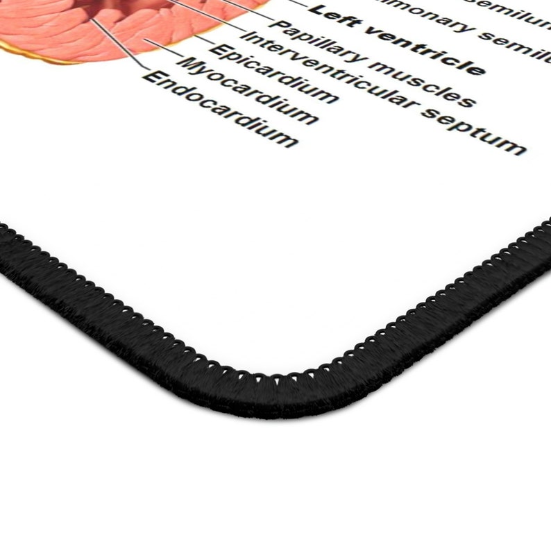 Human Heart Mouse Pad for Nurses, Echotechs, and Biology Students ...
