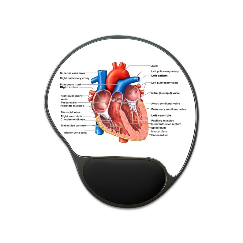Anatomical Heart Mouse Pad With Wrist Rest; Nurse, Echo Tech, and ...