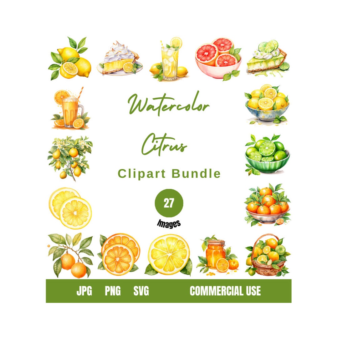Watercolor Citrus Clipart Fruit Clipart Citrus Graphics Lemon Clipart ...