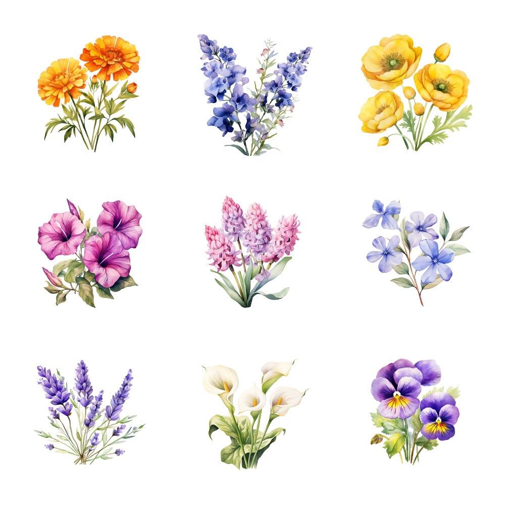 Watercolor Flower Clipart Bundle Wedding Clipart Floral - Etsy