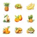 Watercolor Tropical Fruit Clipart Bundle Pineapple Png - Etsy