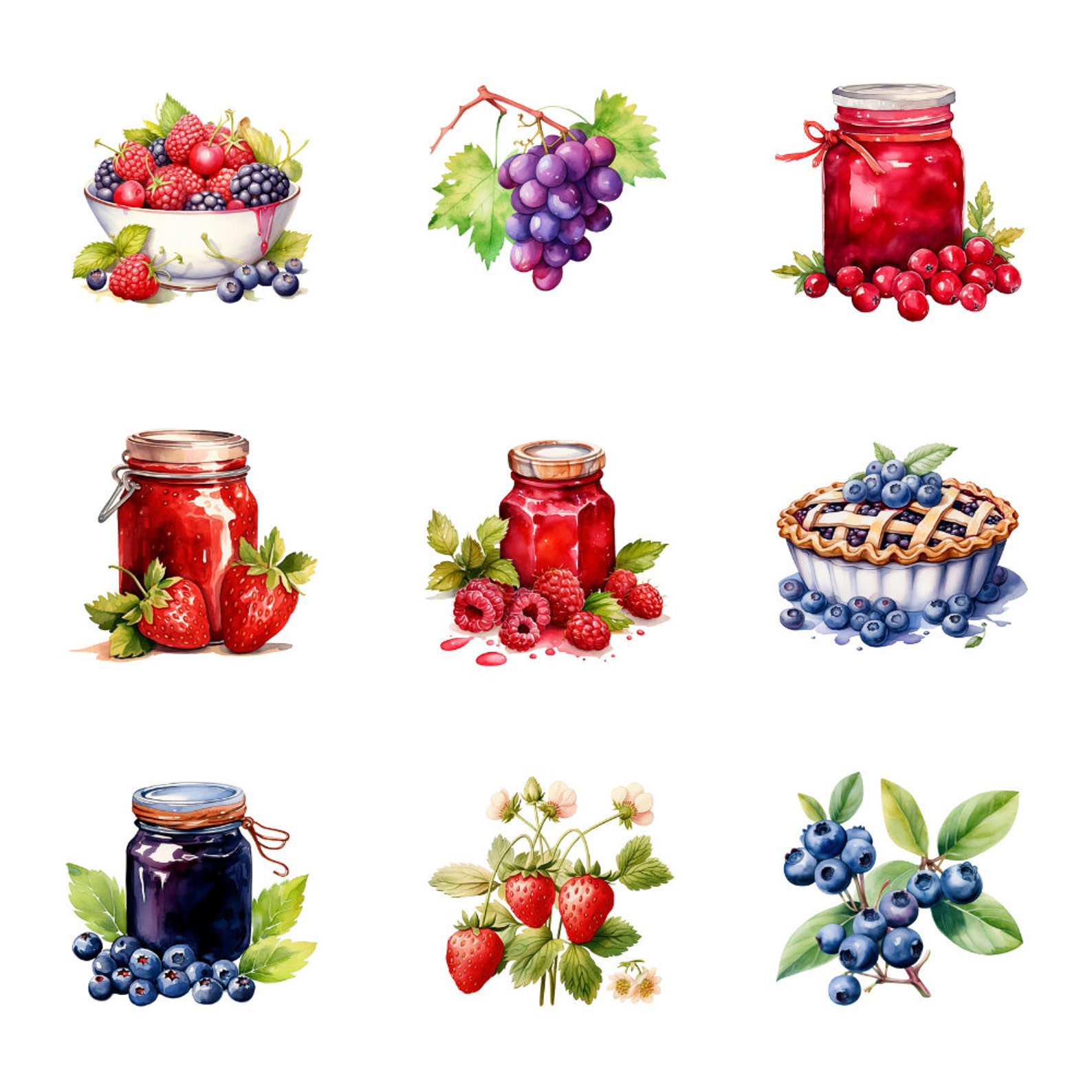Watercolor Berry Clipart Fruit Clipart Mixed Berries - Etsy