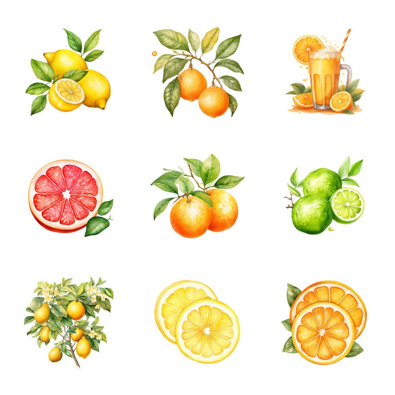 Watercolor Citrus Clipart Fruit Clipart Citrus Graphics Lemon Clipart ...