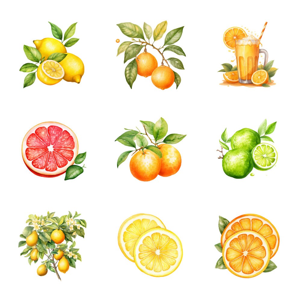 Watercolor Citrus Clipart Fruit Clipart Citrus Graphics Lemon Clipart ...