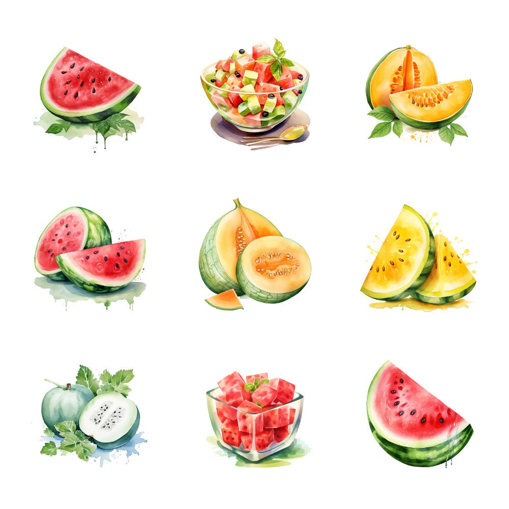 Watercolor Melon Clipart Fruit Clipart Melon Graphics Watermelon ...