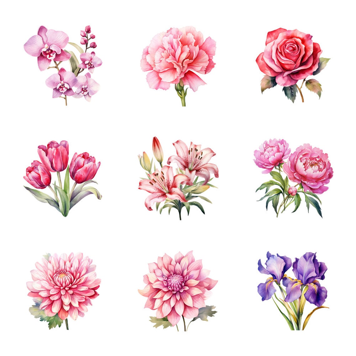 Watercolor Flower Clipart Bundle Wedding Clipart Floral - Etsy