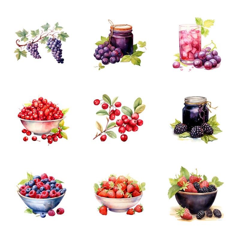 Watercolor Berry Clipart Fruit Clipart Mixed Berries - Etsy