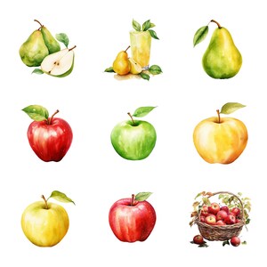 Watercolor Apple Clipart Watercolor Pear Clipart Apple Svg Apple Png ...