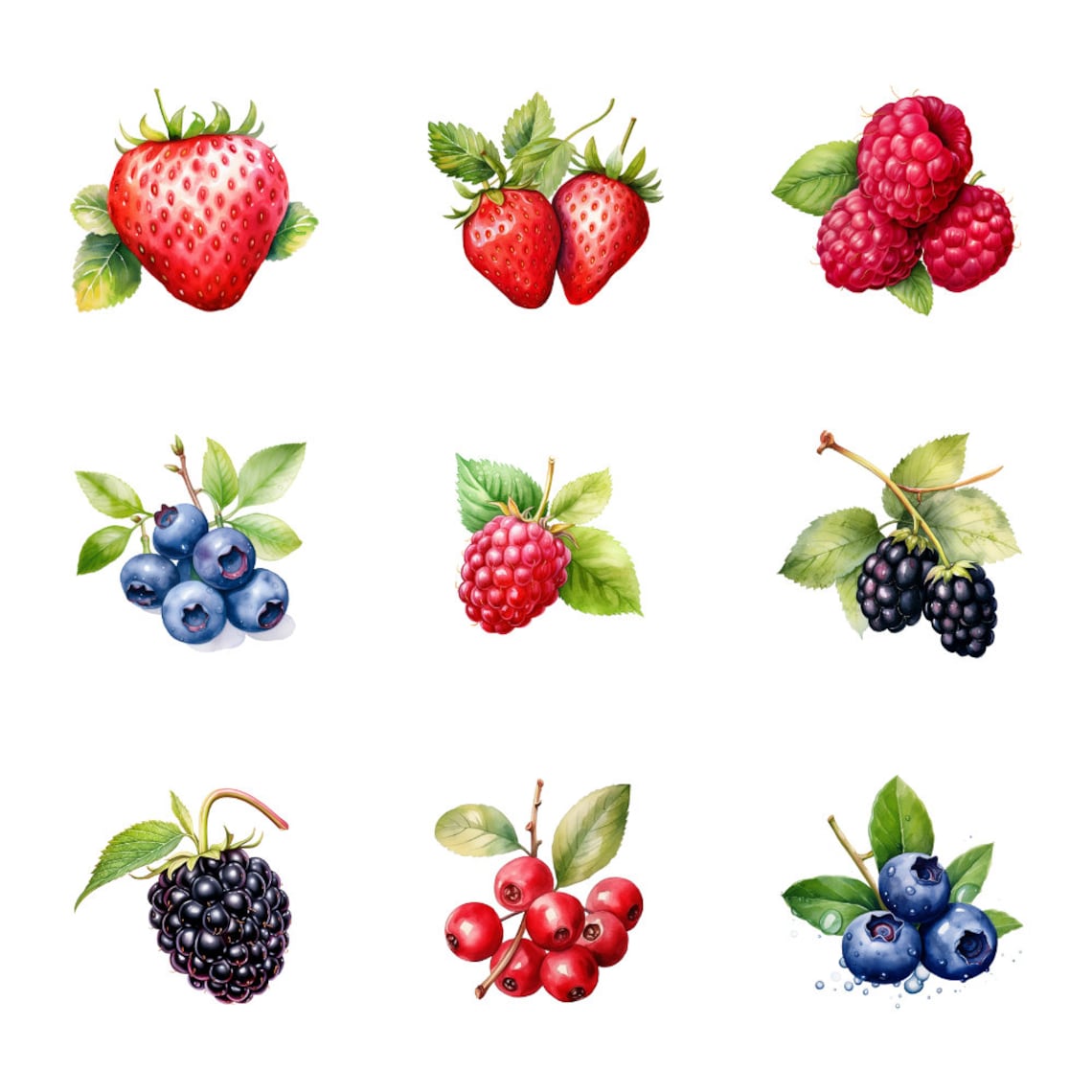 Watercolor Berry Clipart Fruit Clipart Mixed Berries - Etsy